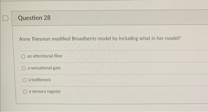 Solved D Question 28 Anne Triesman modified Broadbents model | Chegg.com