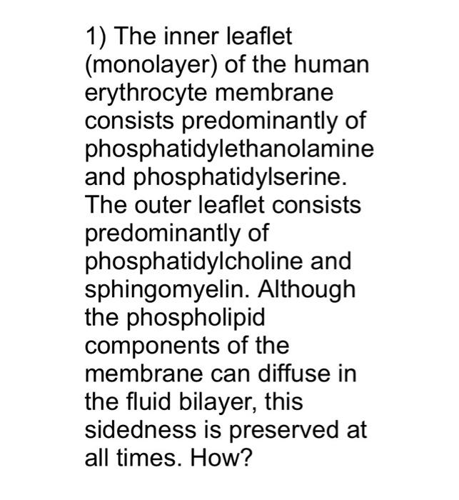 Solved 1) The inner leaflet (monolayer) of the human | Chegg.com