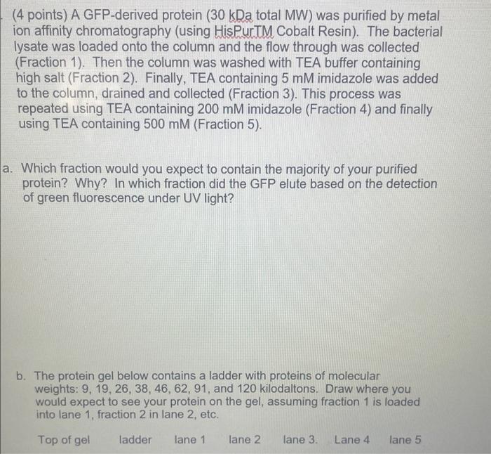 Solved (4 points) A GFP-derived protein ( 30kDa total MW) | Chegg.com
