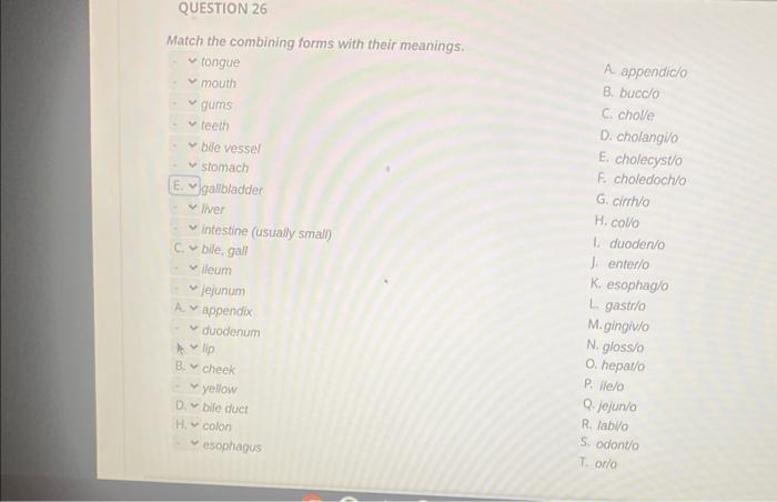 Solved Match the combining forms with their meanings. tongue | Chegg.com