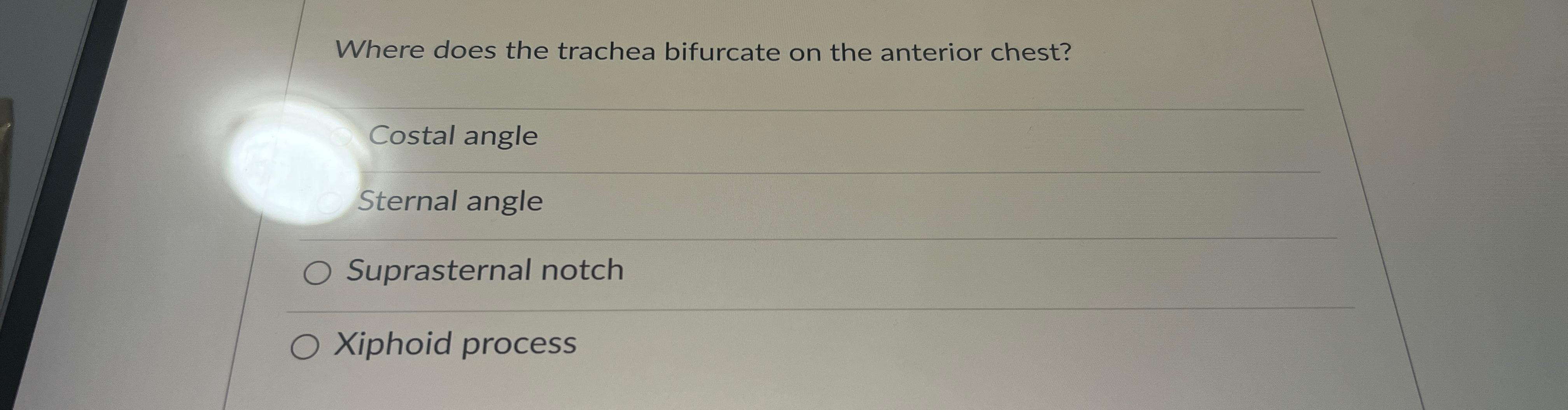 Solved Where does the trachea bifurcate on the anterior | Chegg.com