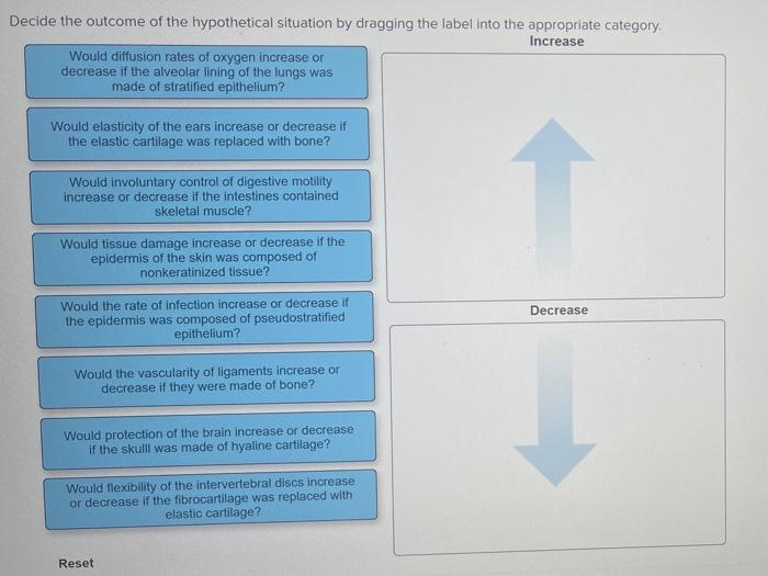 Solved Decide the outcome of the hypothetical situation by | Chegg.com