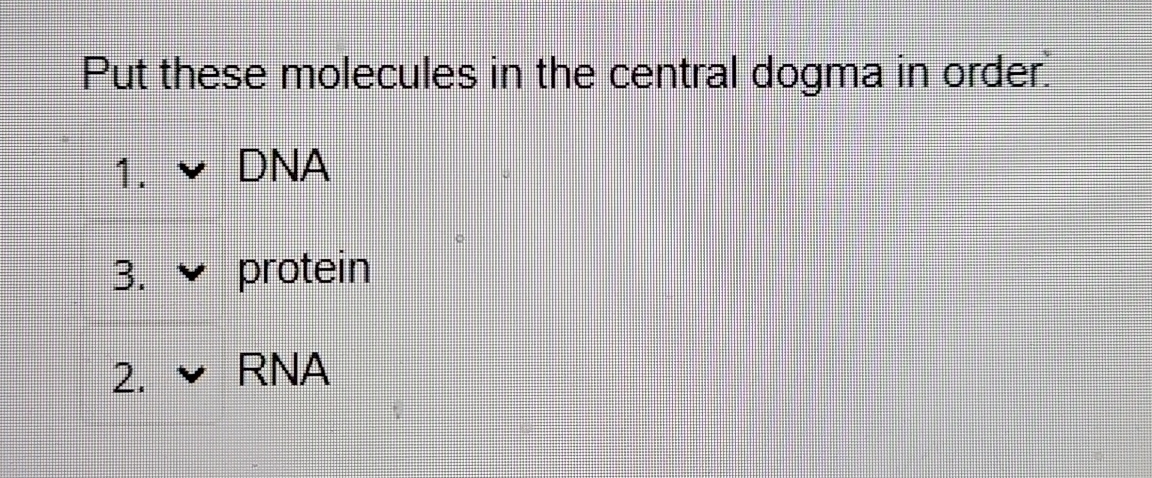Solved Put these molecules in the central dogma in order.vv | Chegg.com