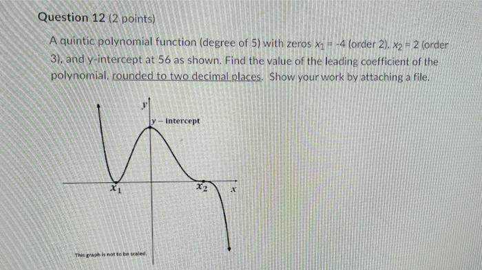 Solved Question 12 (2 points) A quintic polynomial function | Chegg.com