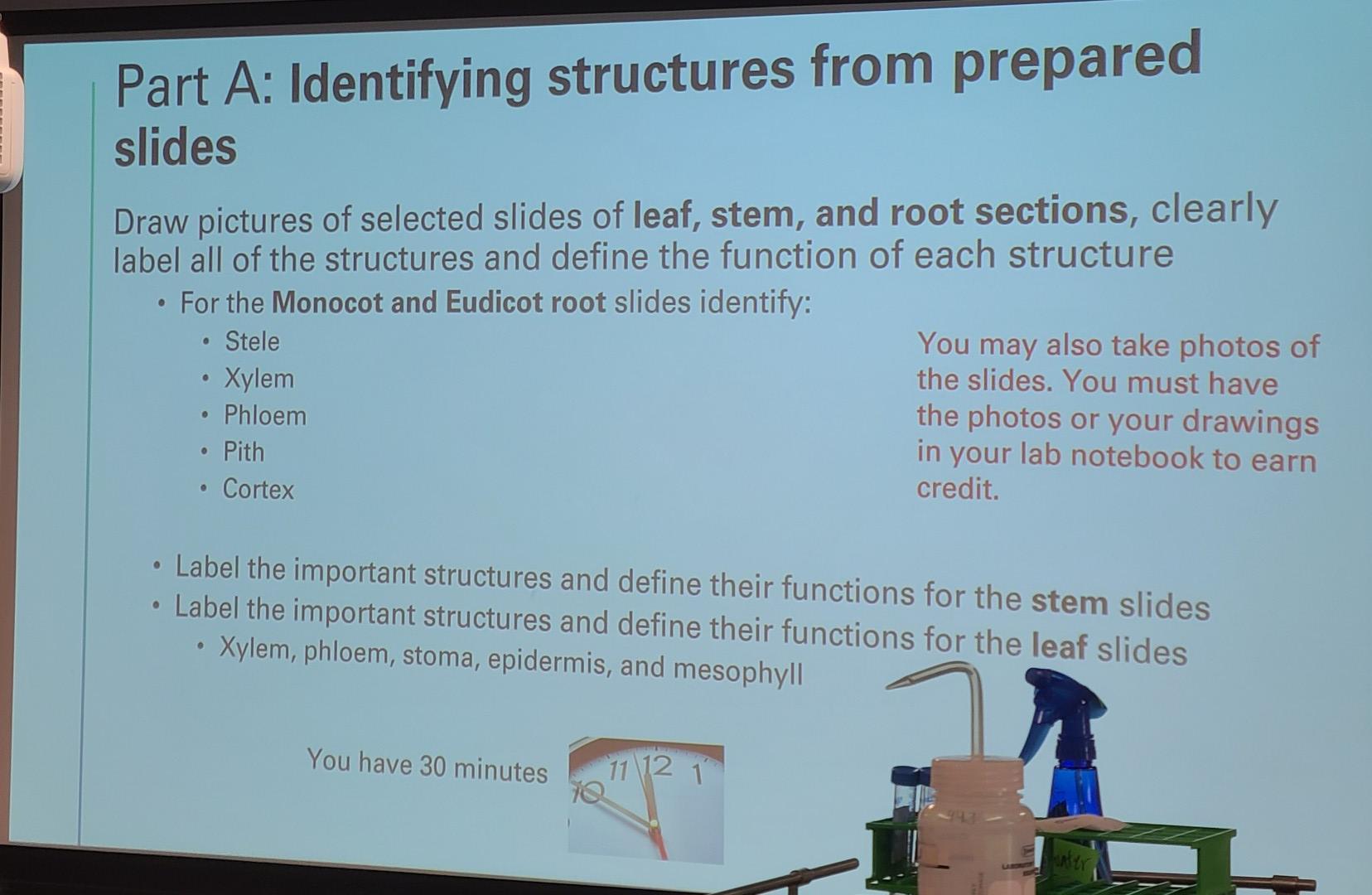 Solved Part A: Identifying structures from prepared slides | Chegg.com