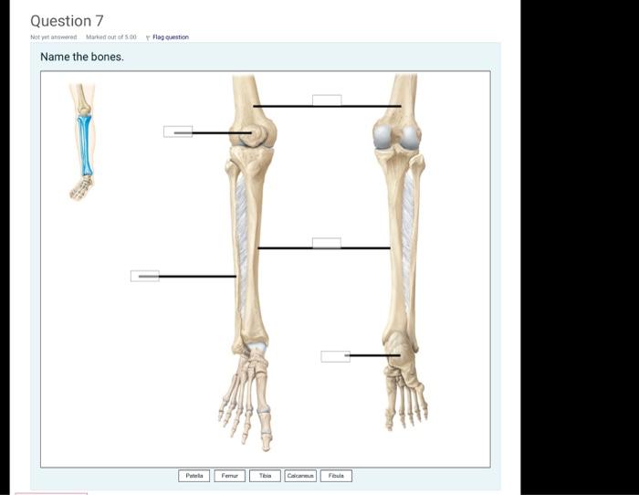 Label the special movement on the diagram. Question | Chegg.com