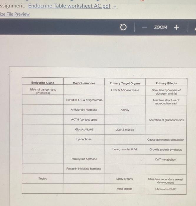 Solved ssignment. Endocrine Table worksheet AC.pdf ize File | Chegg.com