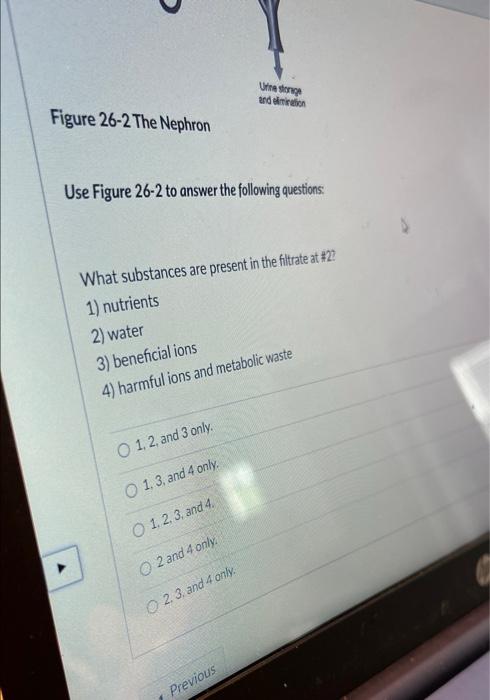 Solved Unge and on Figure 26-2 The Nephron Use Figure 26-2 | Chegg.com