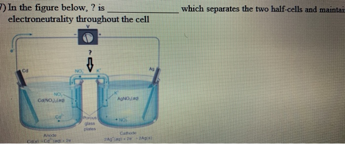 Solved 7) In the figure below, ? is electroneutrality | Chegg.com