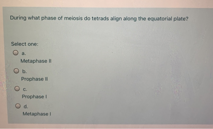 Solved During what phase of meiosis do tetrads align along | Chegg.com