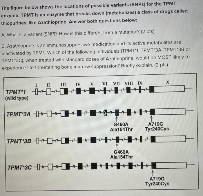 Solved The figure below shows the locations of possible | Chegg.com