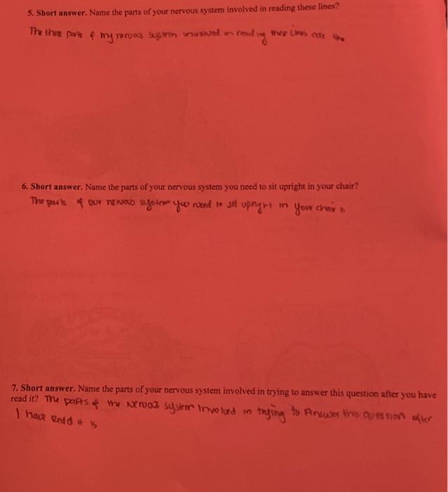 Solved 5. Short answer. Name the parts of your nervous | Chegg.com