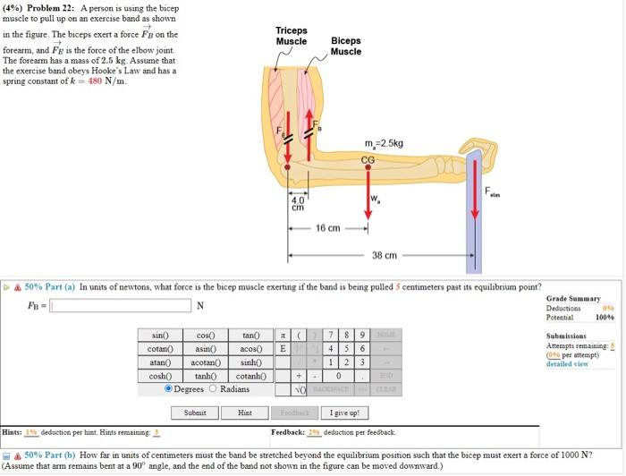 Solved (4%) Problem 22: A person is using the bicep muscle | Chegg.com