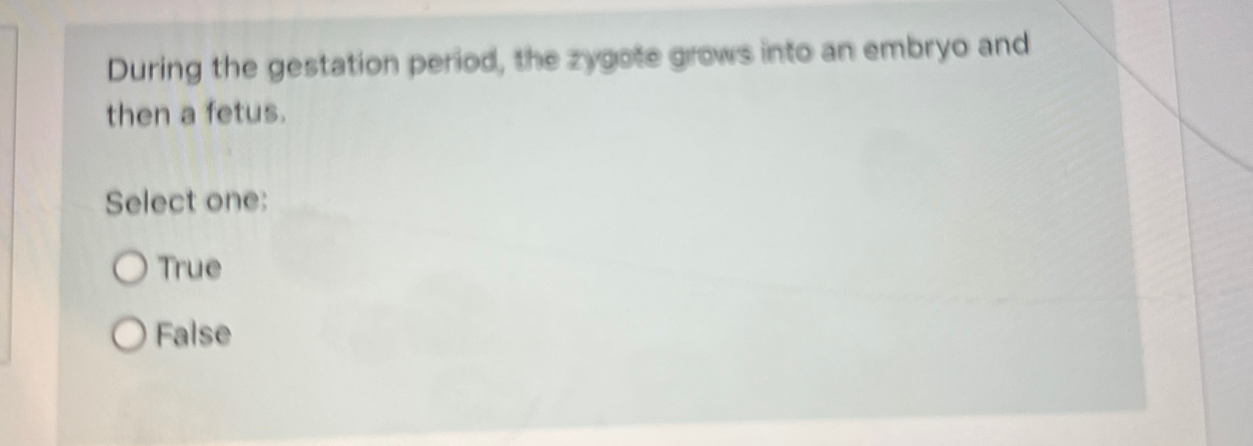 Solved During the gestation period, the zygote grows into an | Chegg.com