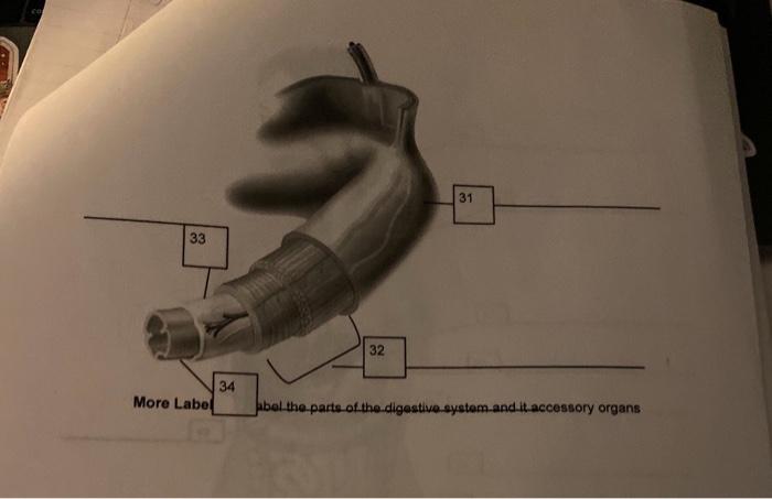 Solved label the parts | Chegg.com