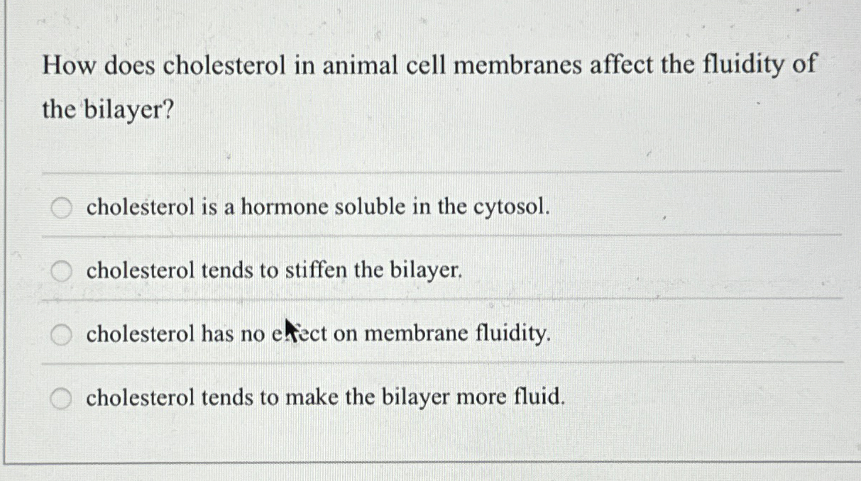 Solved How does cholesterol in animal cell membranes affect | Chegg.com