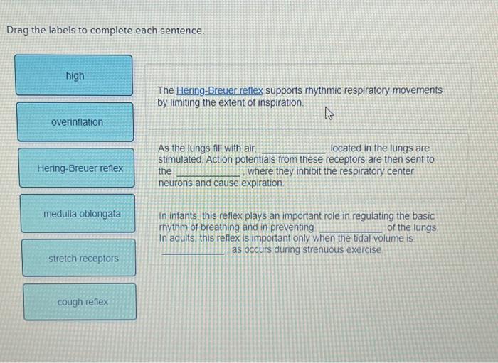 Solved Drag the labels to complete each sentence. high | Chegg.com