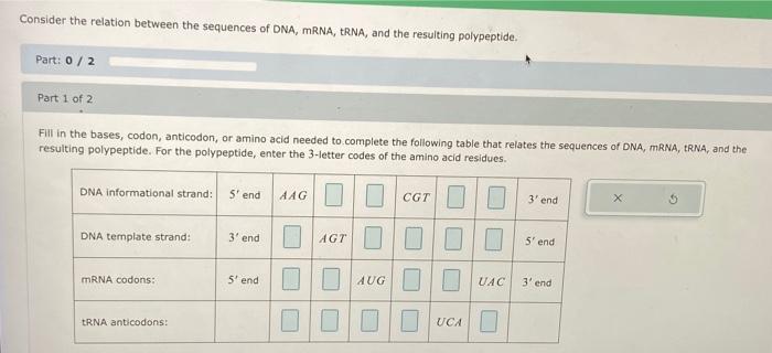 Solved Consider the relation between the sequences of DNA, | Chegg.com
