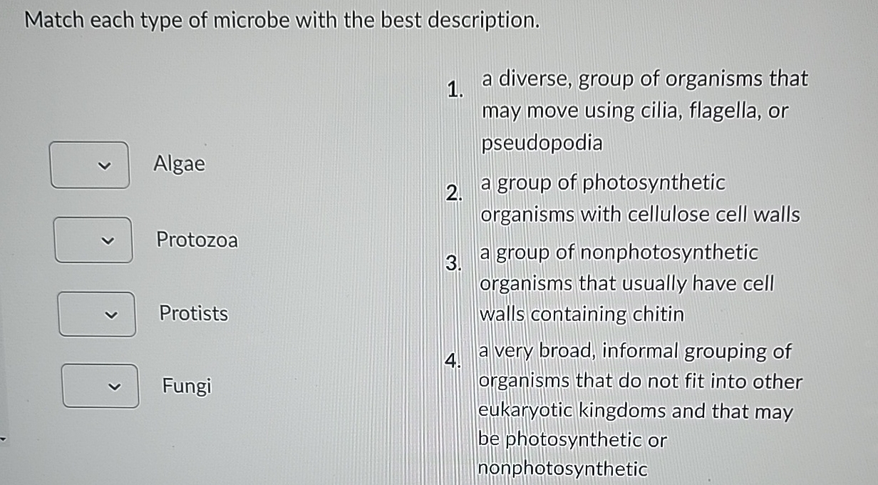 Solved Match each type of microbe with the best | Chegg.com