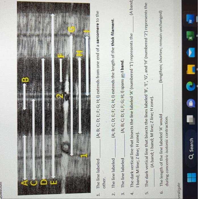 Solved 1. The line labeled (A; B; C; D; E; F; G; H;I) | Chegg.com