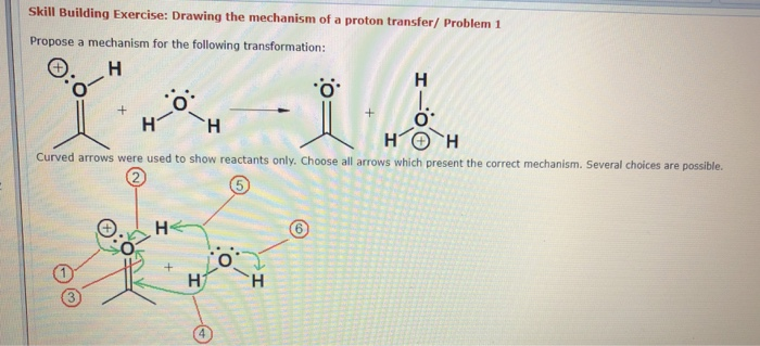 Solved Skill Building Exercise: Drawing the mechanism of a | Chegg.com
