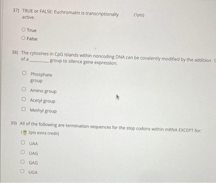 Solved 35) In the mechanism of splicing, all of the | Chegg.com