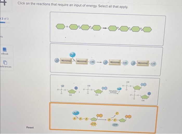 Solved Click on the reactions that require an input of | Chegg.com