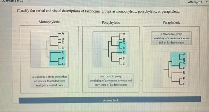 Solved Question 4 of 12 Attempt 11 Classify the verbal and | Chegg.com