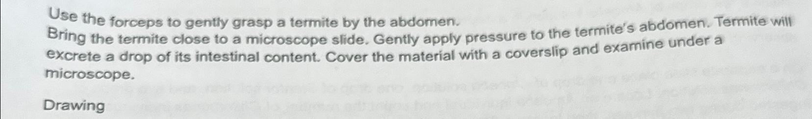 Solved Use the forceps to gently grasp a termite by the | Chegg.com