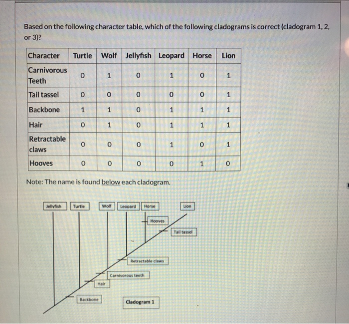 Solved Based on the following character table, which of the | Chegg.com