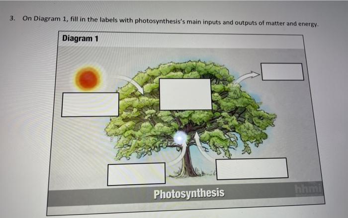 Solved 3. On Diagram 1, fill in the labels with | Chegg.com
