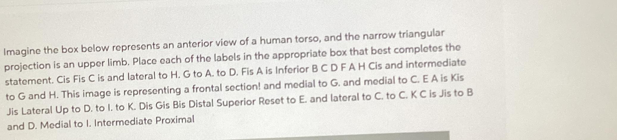 Solved Imagine the box below represents an anterior view of | Chegg.com