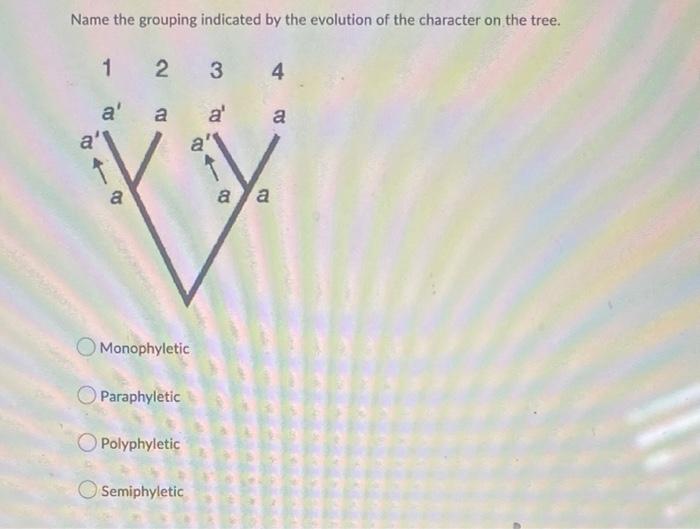 Solved A symplesiomorphy leads to the formation of what kind | Chegg.com