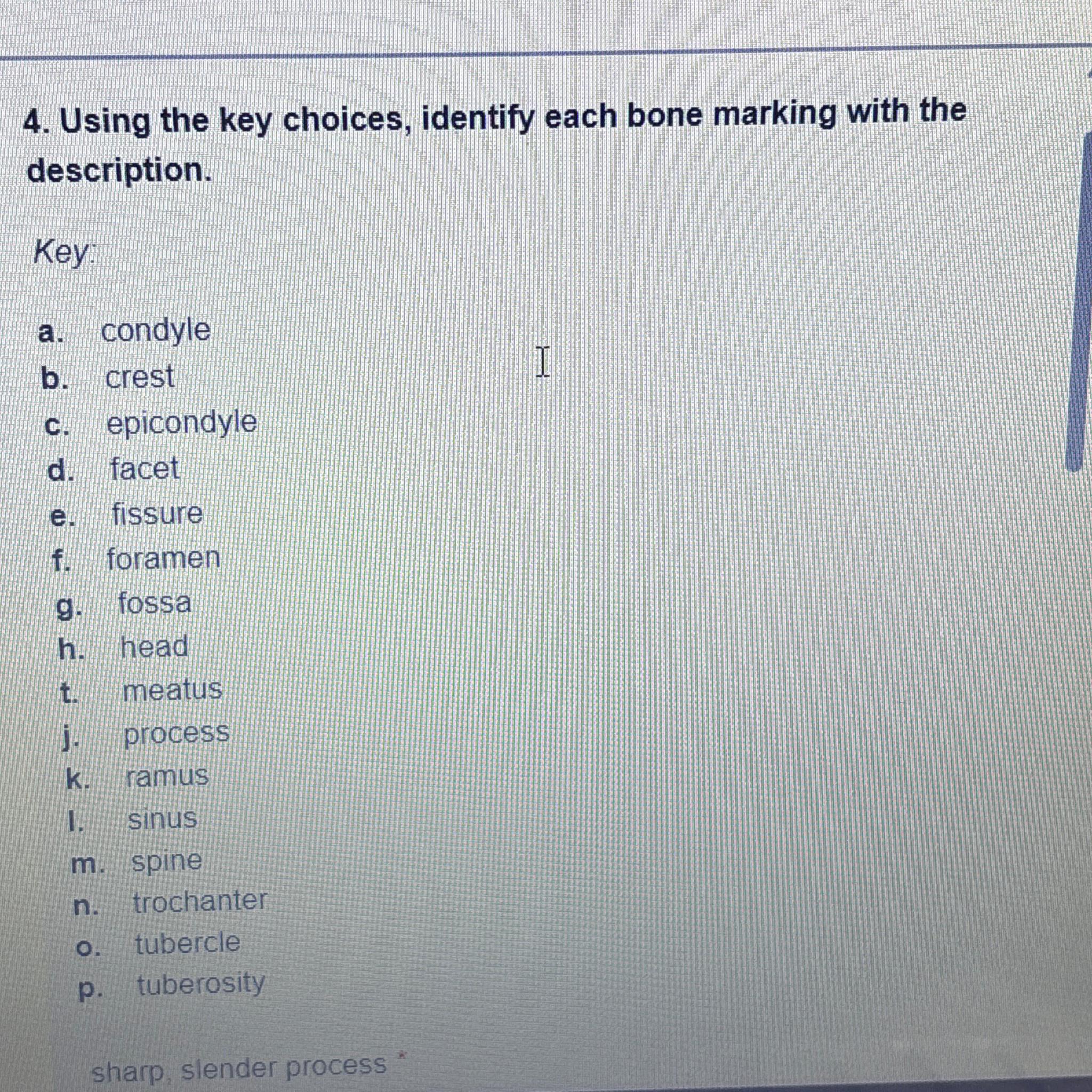 Solved Using the key choices, identify each bone marking | Chegg.com
