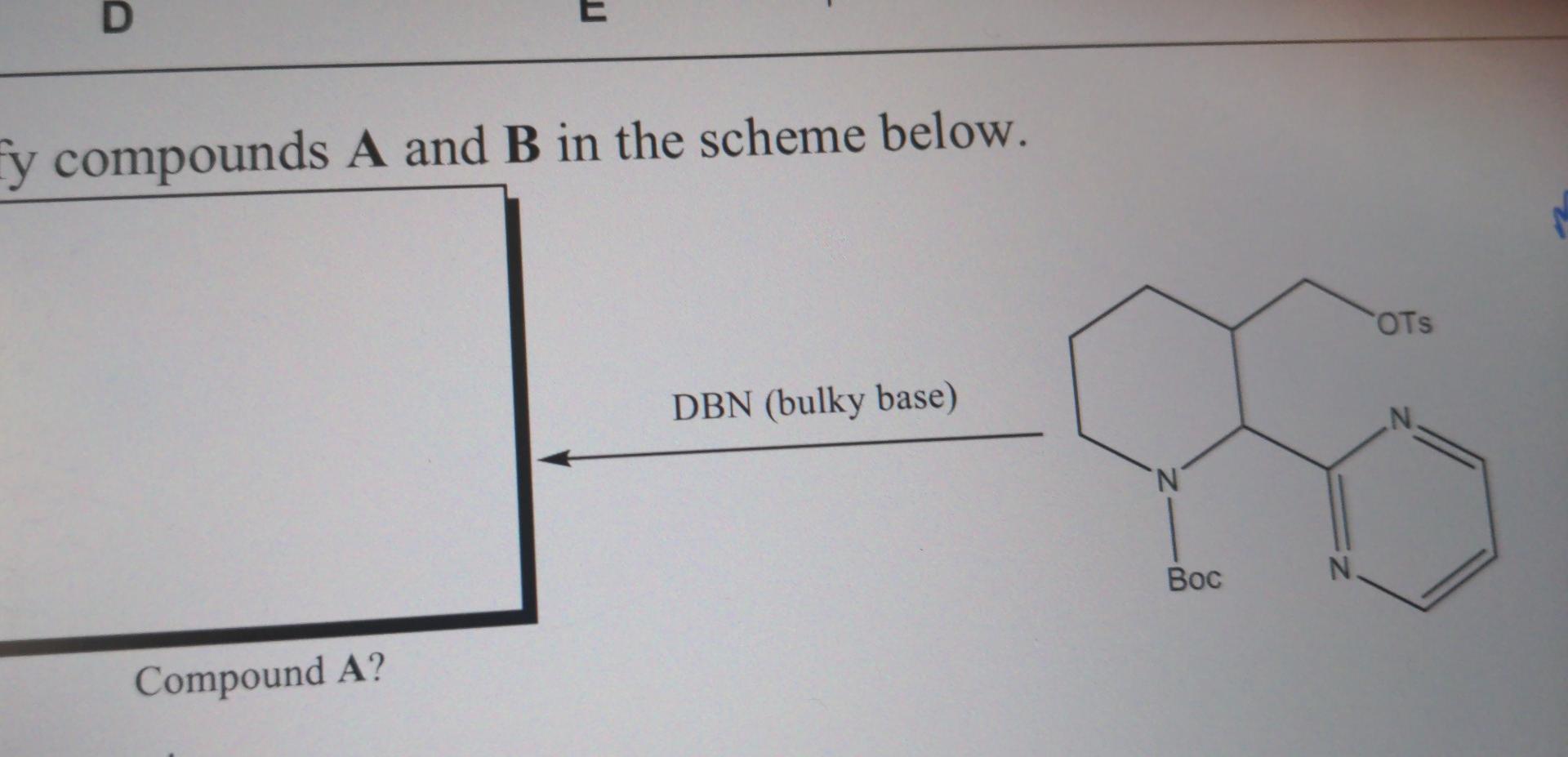 Solved D y compounds A and B in the scheme below. OTs DBN | Chegg.com