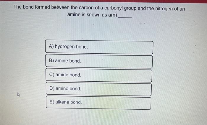 Solved What type of nitrogen functional group is shown in | Chegg.com