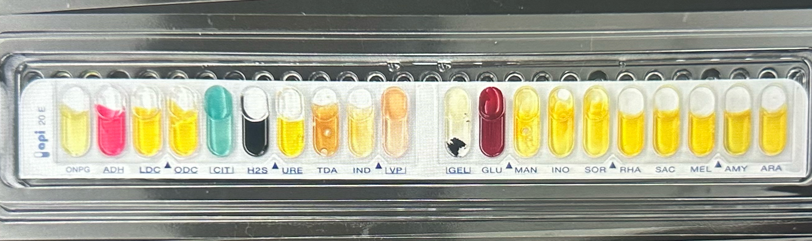 Solved In this api20e test. It has been identified as | Chegg.com