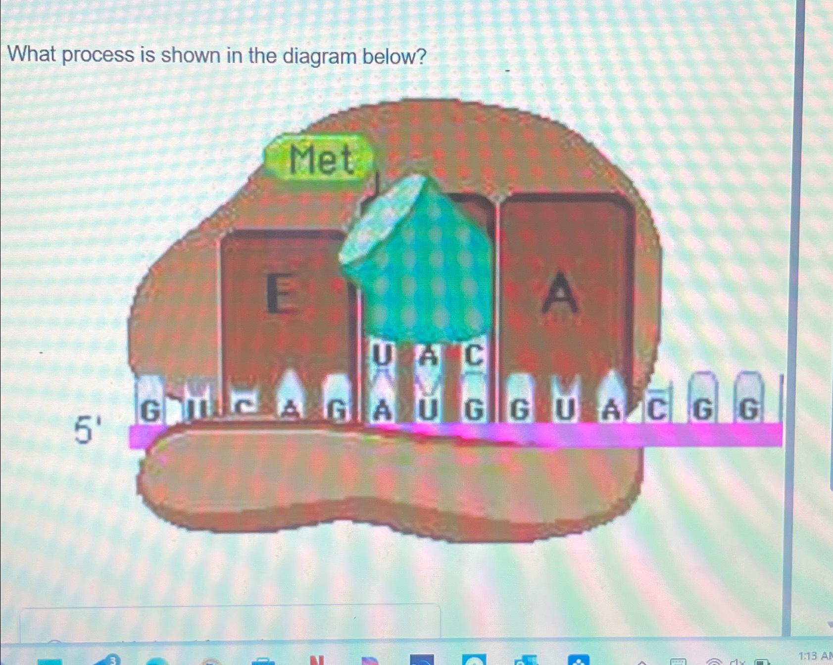 Solved What process is shown in the diagram below? | Chegg.com