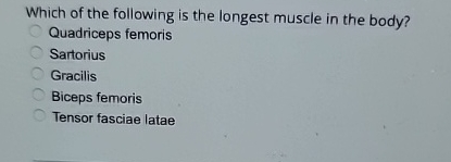 Solved Which of the following is the longest muscle in the | Chegg.com