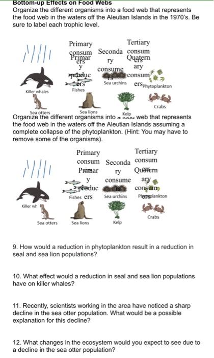 Solved Bottom-up Effects on Food Webs Organize the different | Chegg.com