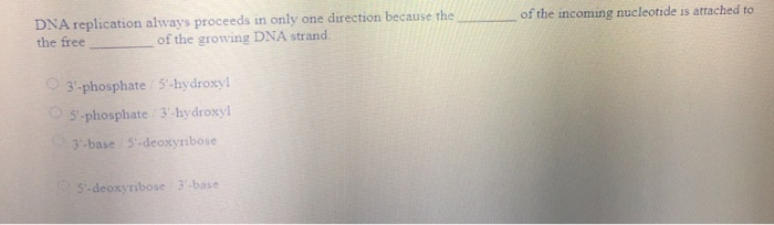 Solved of the incoming nucleotide is attached to DNA | Chegg.com