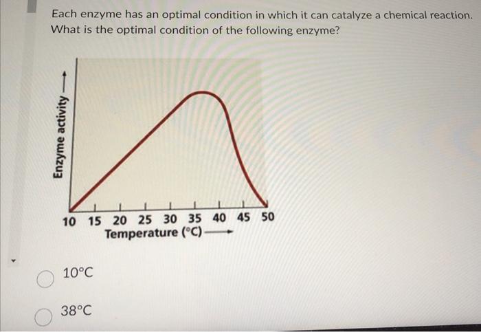 Solved Each enzyme has an optimal condition in which it can | Chegg.com