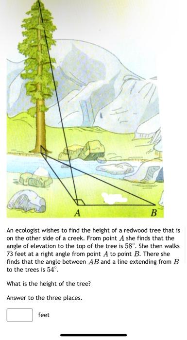 Solved An ecologist wishes to find the height of a redwood | Chegg.com