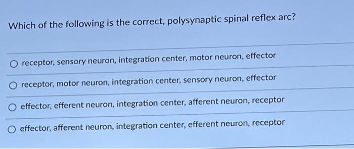 Solved Which of the following is the correct, polysynaptic | Chegg.com