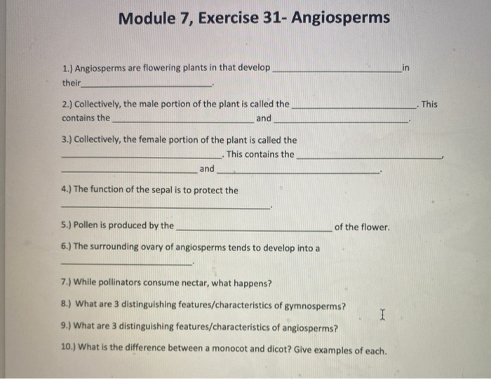 Solved Module 7, Exercise 31- Angiosperms 1.) Angiosperms | Chegg.com