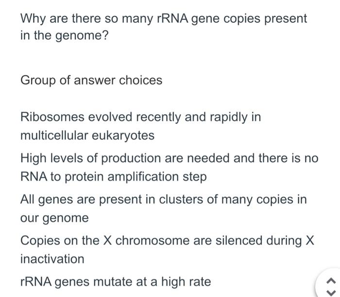 Solved Why are there so many rRNA gene copies present in the | Chegg.com