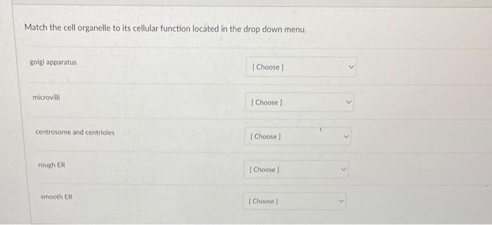 Solved Match the cell organelle to its cellular function | Chegg.com
