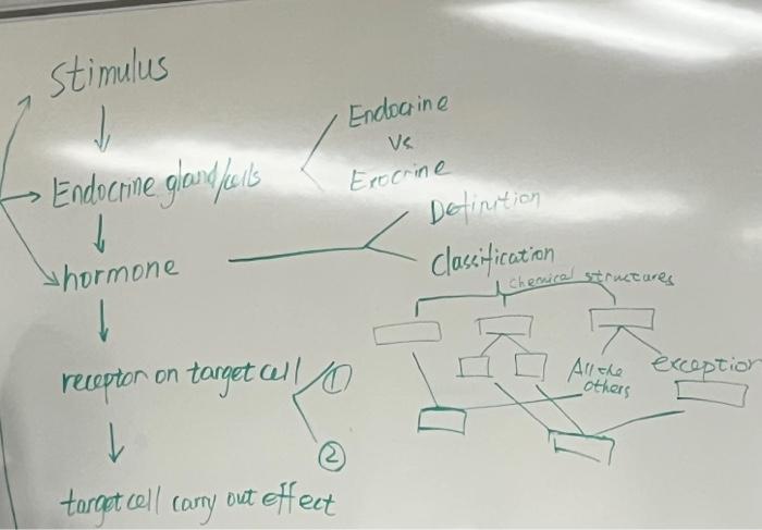 draw a concept mapping to summarize the key concepts | Chegg.com