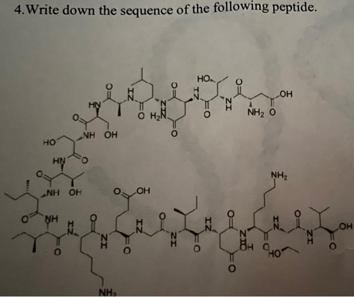Solved 4. Write down the sequence of the following peptide. | Chegg.com