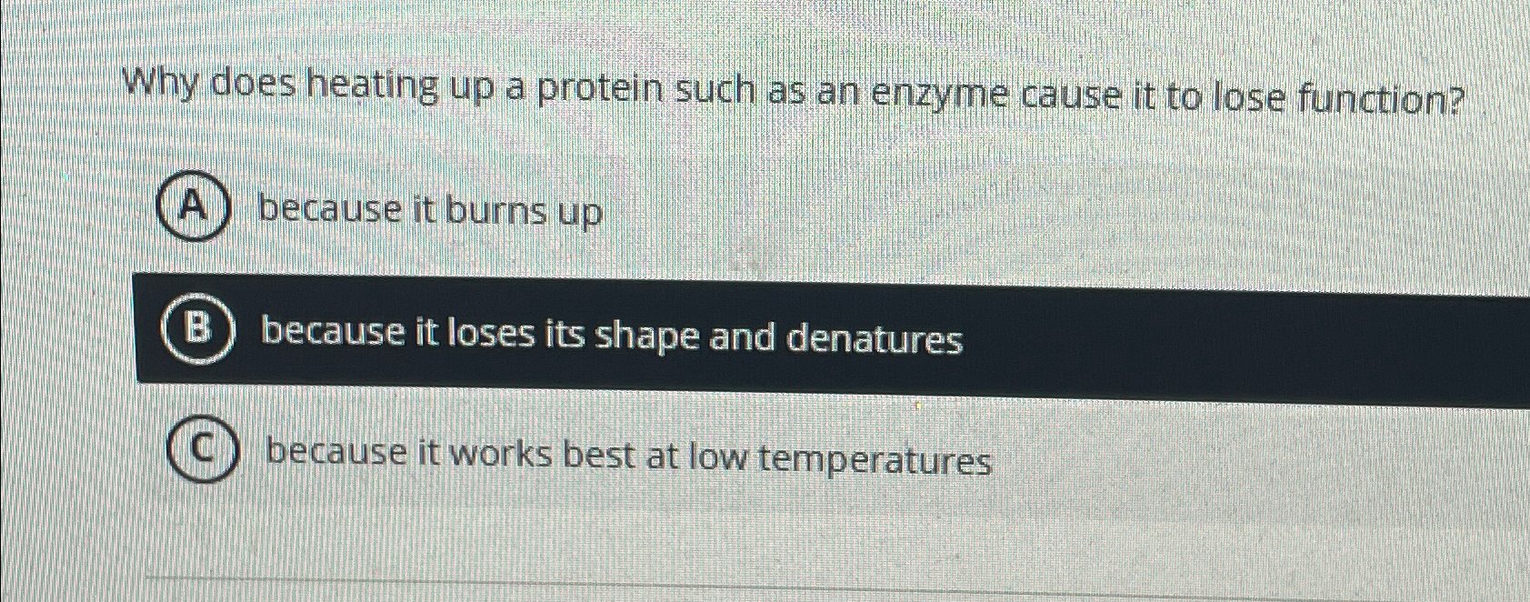Solved Why does heating up a protein such as an enzyme cause | Chegg.com